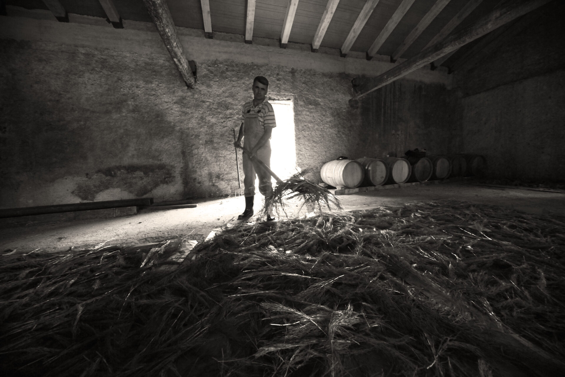 Biodinamično kmetovanje – Vinarstvo Batič