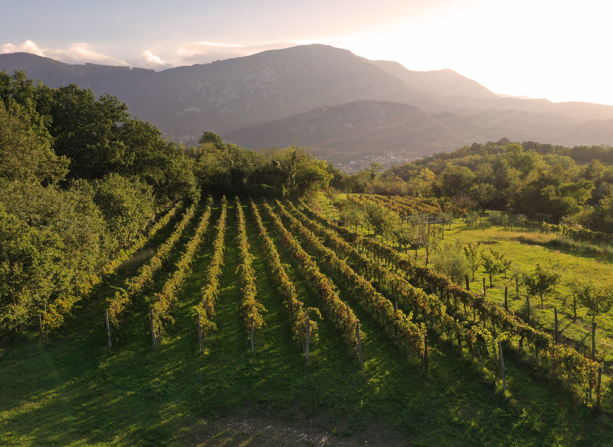 Pod Visoko – Vinarstvo Batič